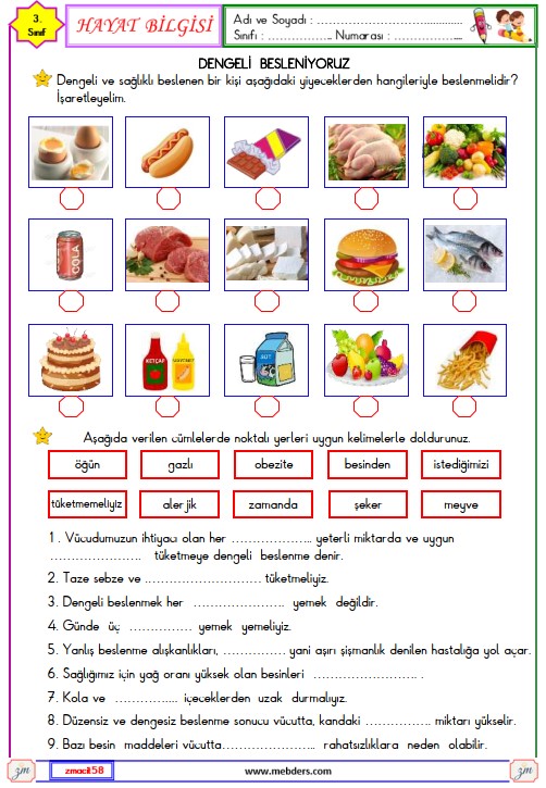 3. Sınıf Hayat Bilgisi Dengeli Besleniyoruz Etkinliği | Meb Ders 3. Sınıf Hayat Bilgisi Dengeli Besleniyoruz Etkinliği | Meb Ders